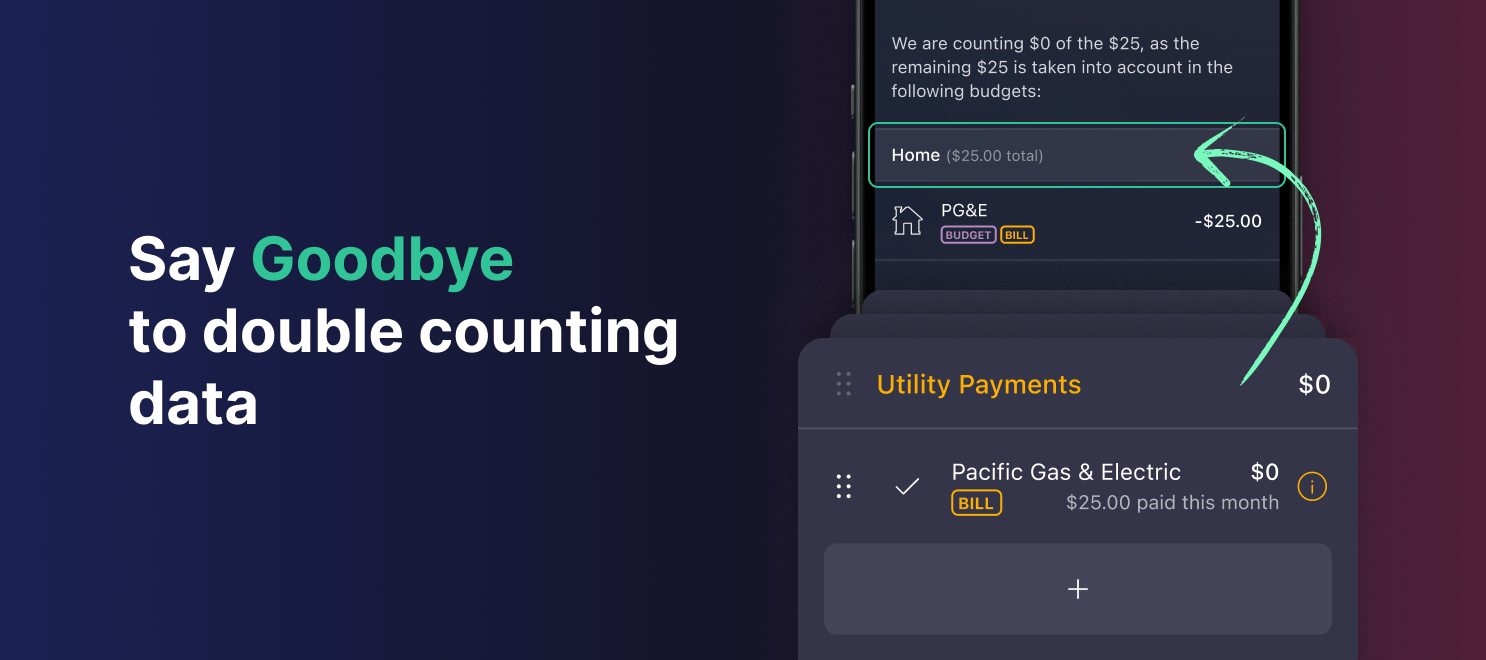 Double Count Fixed: Accurate Totals, Clear Insights | PocketGuard ...